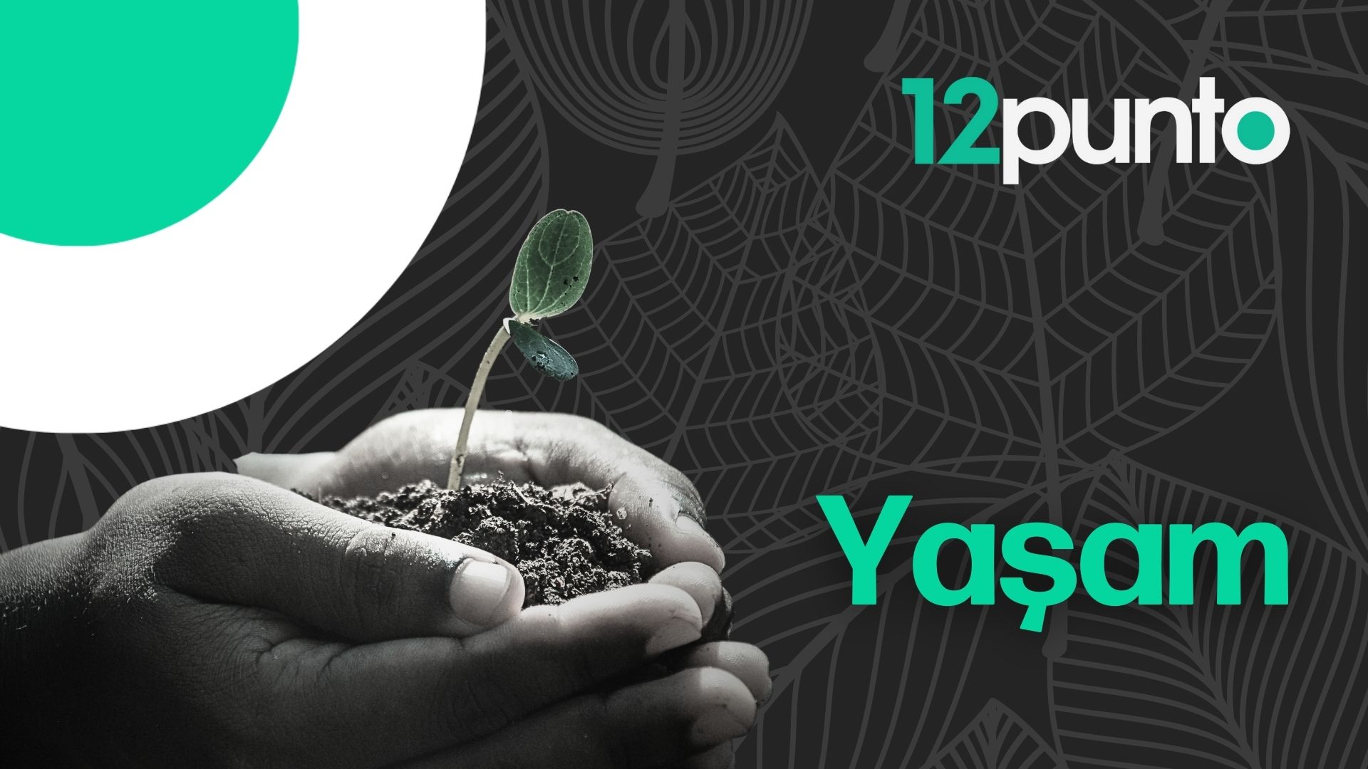 3. Sayfa ve Son Dakika Yaşam Haberleri